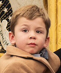 Elon Musk Family Tree | Complete Genealogy & Biography